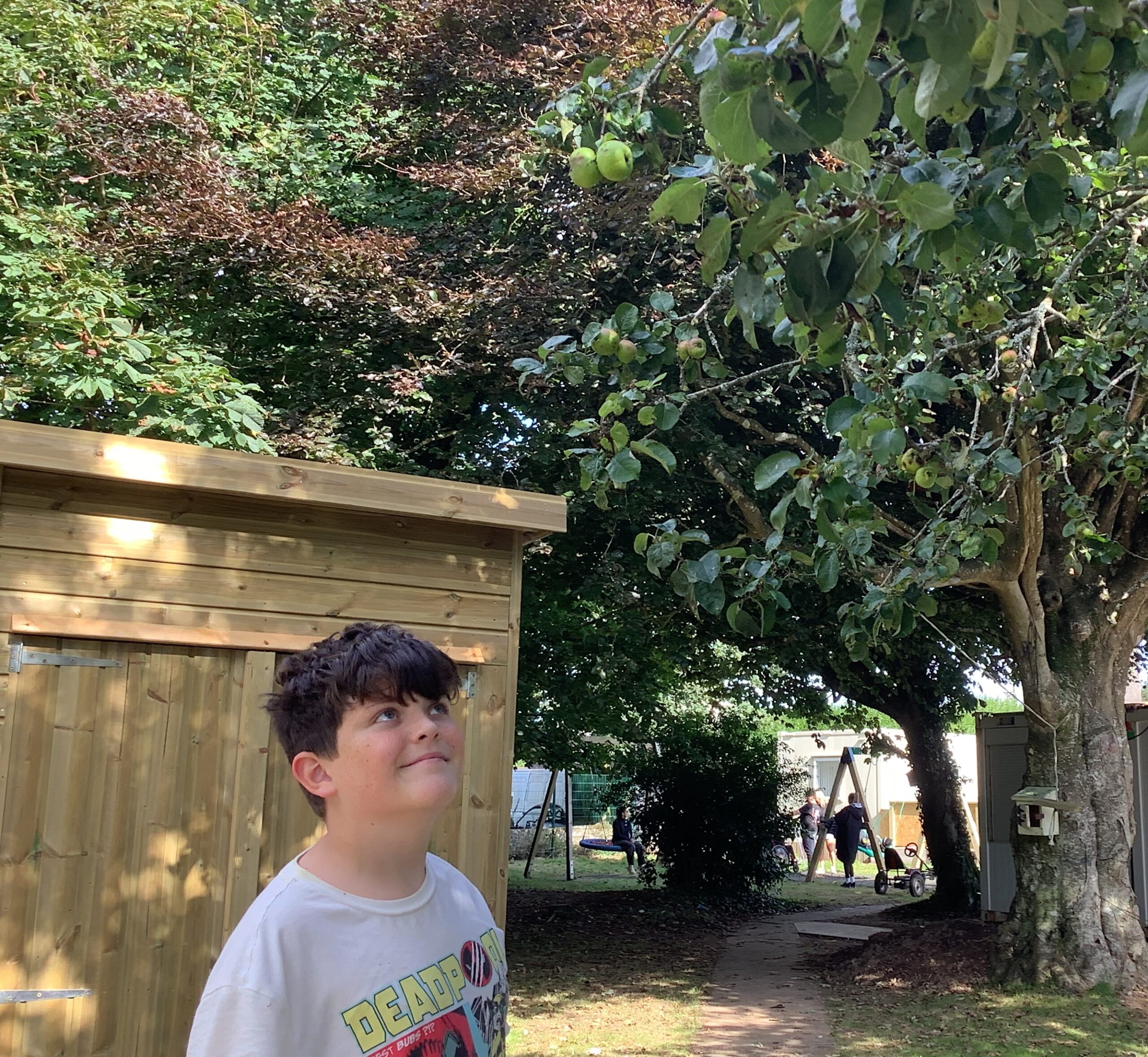 Home - Three Bridges School